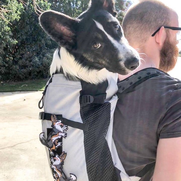 Heraldry Corgi Rampant Pair Pembroke or Cardigan Welsh Epic Dog Iron on ...