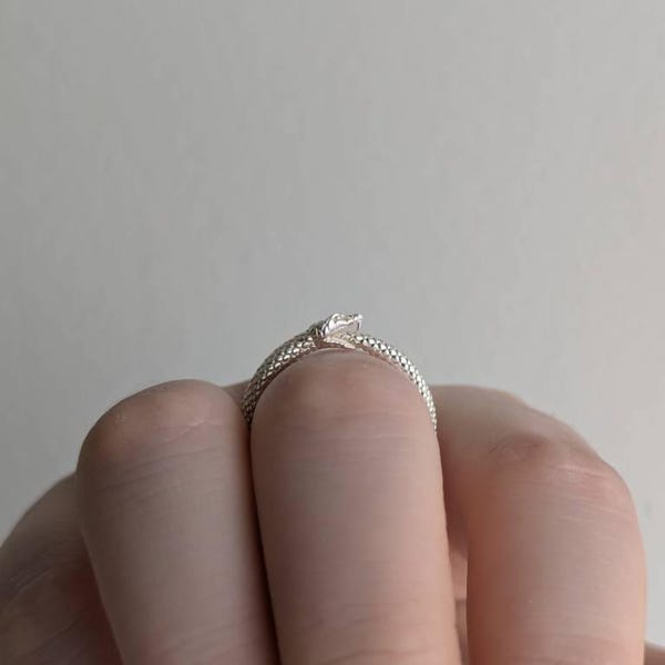 Ouroboros Snake Solid Silver Band Ring,snake Eating Tail Ring,ouroboros ...