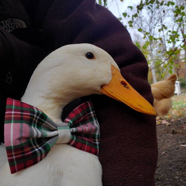 Cotton Duck Bowties. - Etsy