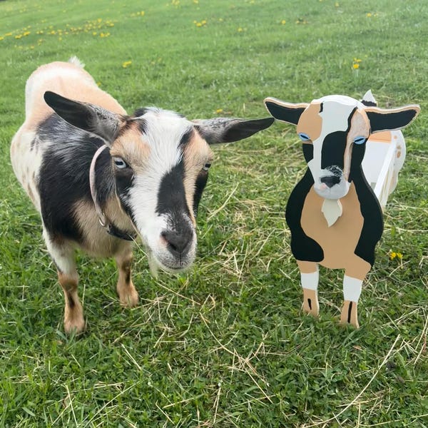 Custom Goat Planter – Handmade Wooden Pet Memorial, Garden Décor, Gift ...