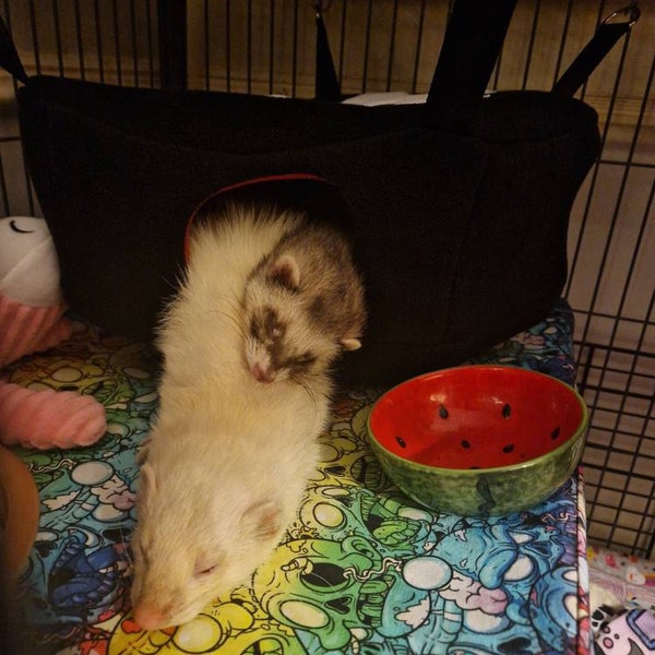 The Cosy Coffin Luxury Halloween Coffin in 3 Sizes, Hanging Cube ...