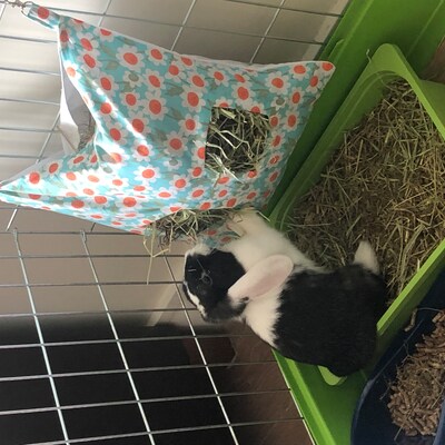 Hay Bag for Rabbits and Guinea Pigs, Hay Feeder for Rabbits, Rabbit ...