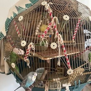 2 in 1 Perch Natural Wood Perch and Swinging Pine Dowel Perch With ...