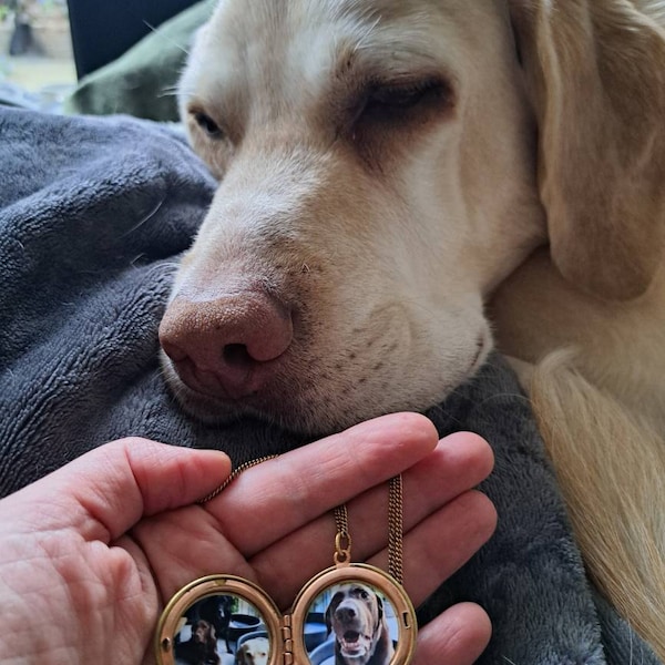 Gold Locket Necklace · Custom Photo Lockets · Gift for Her · Minimalist ...