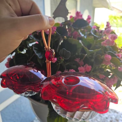 Window Oriole Feeder - Etsy