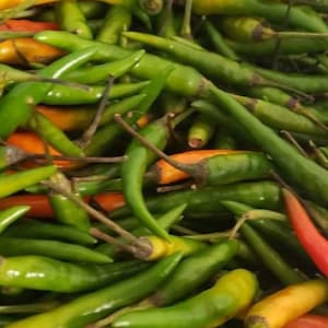 Golden Ray Cooking Margarine 8 Oz pack of 3 - Etsy