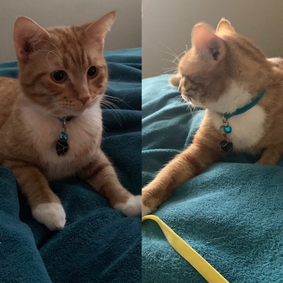 Raw Natural Crystal Key Chains/pet Collar Charms You Choose - Etsy