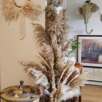 Burnt Orange Oats / Dried Avena Oats / Dried Flowers Bulk / Dried ...