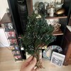 DIY Dried Floral Topiary Kit You Create Dried Florals and Herbs ...