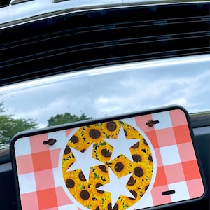 Custom License Plate Front Car Tag, Aluminum or Plastic Personalized ...