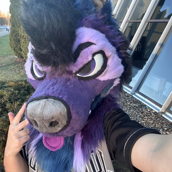 Anteater Fursuit Head-base With Movable Jaw and Eye Lids High Quality ...