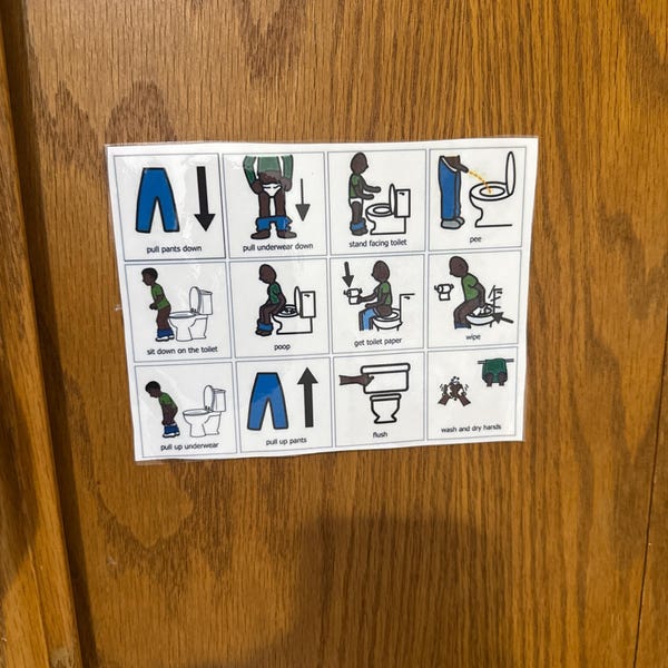 Visual Bathroom Potty Training Toilet for Boys Autism - Sit/stand ...