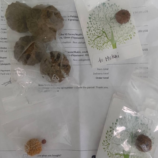 25 Grams of Red Seeds (adenanthera Pavonina) or Approximately 96 Seeds ...