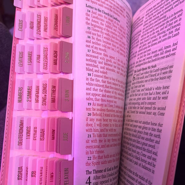 Pink Faux Leather KJV Bible: Rose Gold Tabs, Giant Print - Etsy