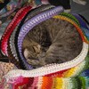 Rainbow Bridge Memory Scarf - Etsy