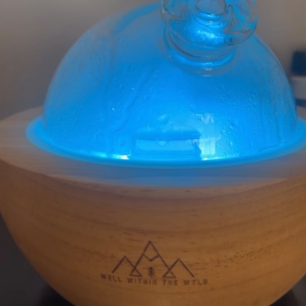 Willow Glass Dome & Wood Grain Diffuser Essential Oil Diffuser - Etsy