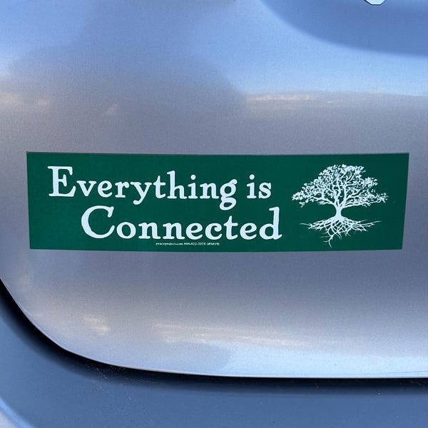 Environmental Bumper Sticker - Everything is Connected - Bumper Sticker ...