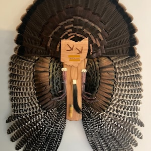 Turkey Wing Mount, Indian Head - Etsy
