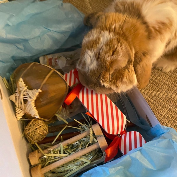 I Love Art and Bunnies T-shirt for Bunny Mom, Rabbit Lover T-shirt ...