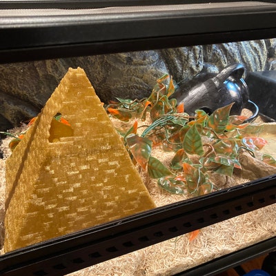 Stroodies Great Pyramid Hide for Leopard Geckos - Etsy