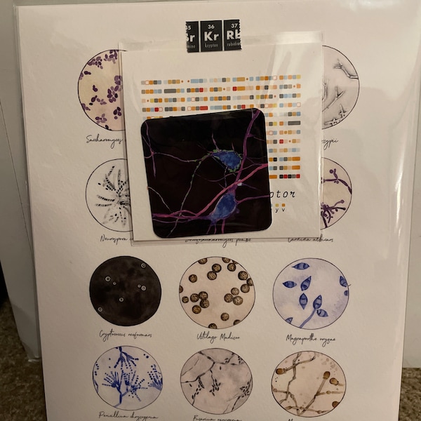 Fungi Collection, Science, Science Art, Mycology, Microbiology, Biology ...