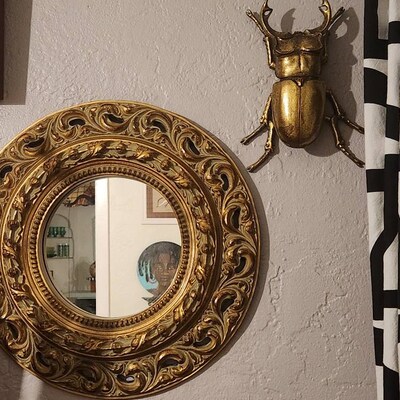 23cm Large Stag Beetle Wall Art Wall Hanging Bug Insects Ornament Wall ...