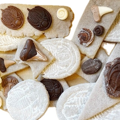 C 130 Hercules Cookie Cutter - Etsy