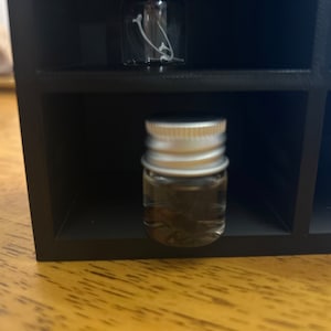 Real Bobcat Toe Bone Curiosity Jar Bone Terrarium Oddity Jar - Etsy