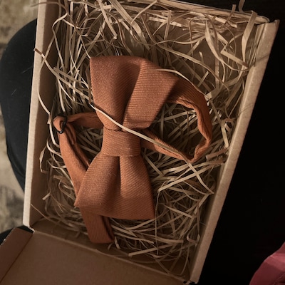 LEO: Terracotta Mens Tie, Rustic Wedding, Mens Pocket Square, Mens Gift ...