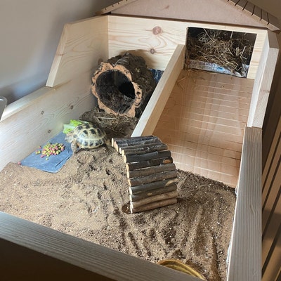 Tortoise House/lodge - Etsy UK