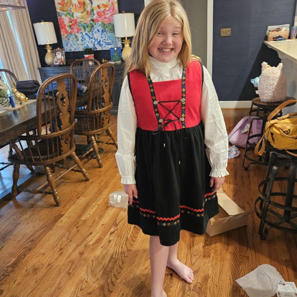 Norwegian Hardanger Style Costume Bunad Festdrakt Dress for Girls - Etsy
