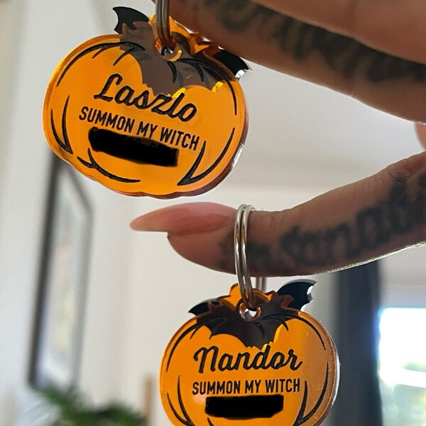 Best in Show, Blue Ribbon, 1, Number One, First Place Personalized Pet ...