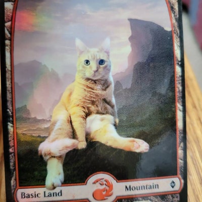 Personalized Pet Magic the Gathering Foil Land - Etsy
