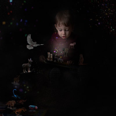 Tanks Photoshop Overlay Bundle in PNG Format tank Overlay - Etsy