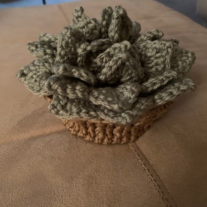 Crochet Succulent Coaster Pattern - Etsy