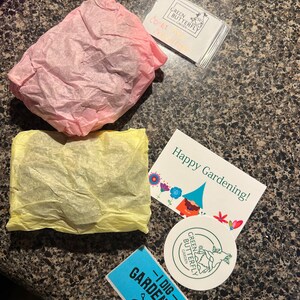 Butterfly Ranunculus Hades Corm Bulb - Etsy