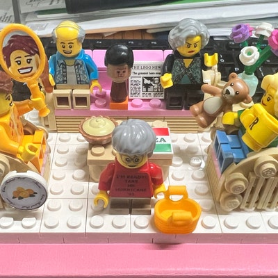 Golden Girls Count Bessie & Baby Lego Set W/ Canvas Art - Etsy