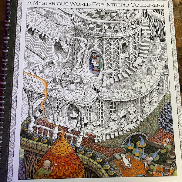 Watergorn - GIANT 27"x 40" Wildergorn Colour-in Poster by Jamie ...