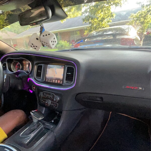 SRT Powered Bee Dodge Charger AC Overlay (2015-2023 Models) - Etsy