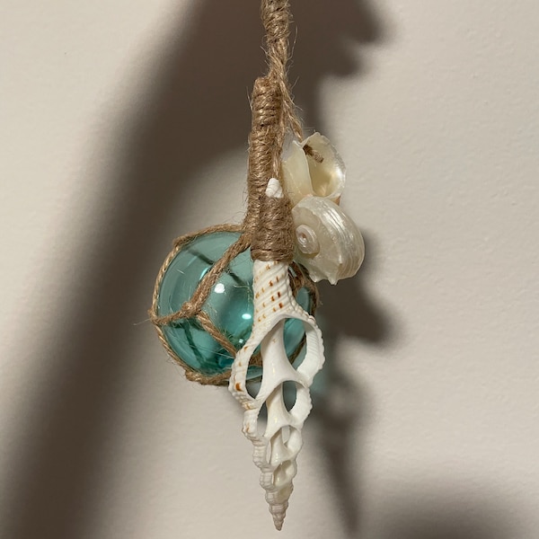 Seashells, Shells, Beach Decor, Hermit Crab Shells, Polished Shells ...