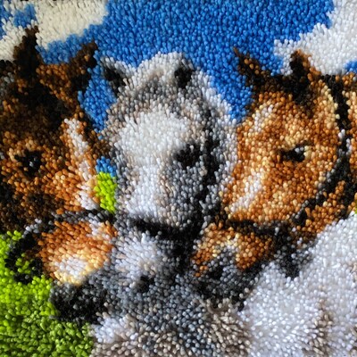 Latch Hook Rug Kits, Kids Adults Carpet Embroidery Set Beginners DIY ...