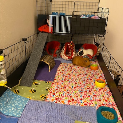 Guinea Pig Ramp - Etsy