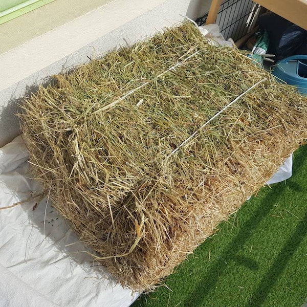 Hooi - hooibalen van 5 kg - hooibaal - konijn - dier - gras - natuur ...