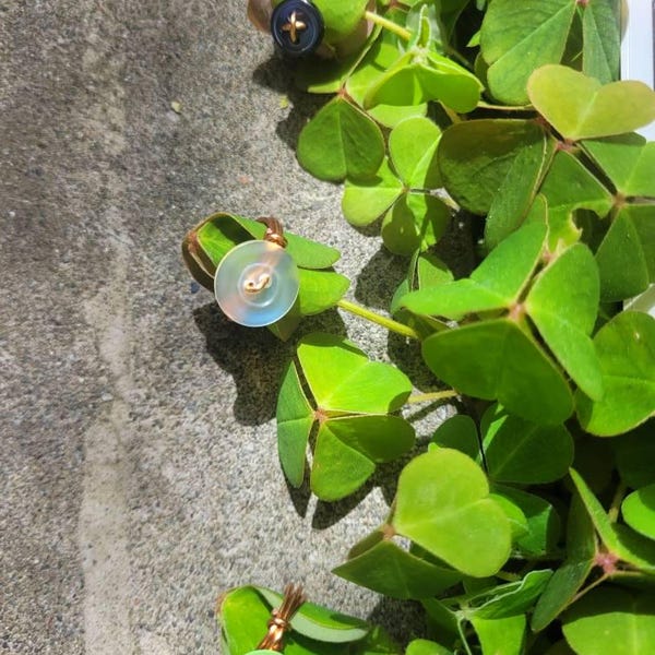 Roadrunner Linocut Print - Original Art Print - Wildlife Art - Joshua ...