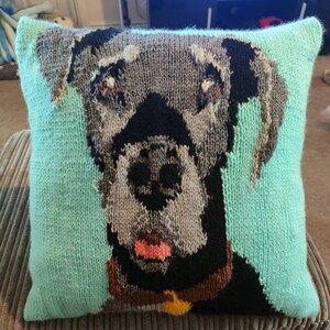 Knitting Pattern PDF Download Staffie/staffordshire Bull Terrier Pet ...