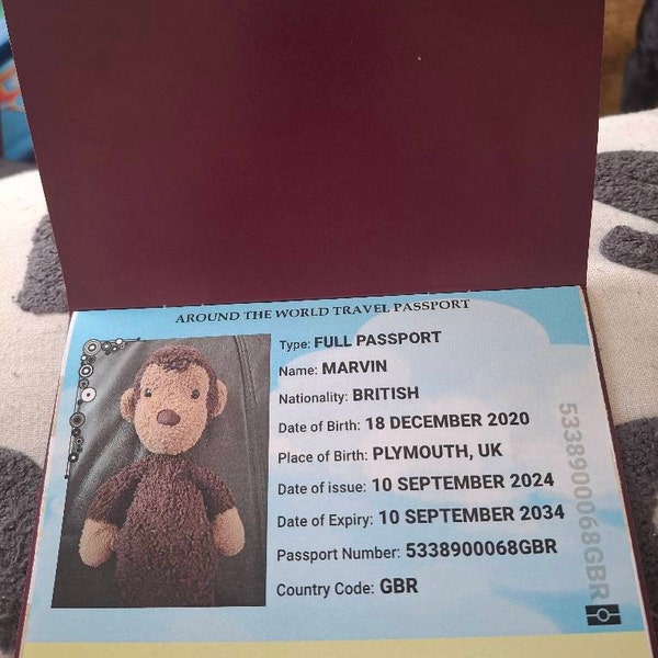 Irish Teddy Bear Passport - Personalised With Photo, Name, Birth ...
