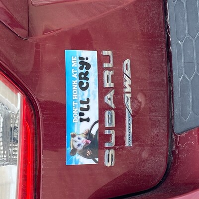 I Eat Asbestos Funny Unhinged Gen Z Meme Bumper Sticker & Car Magnet - Etsy