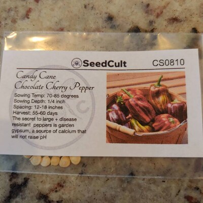 Rare Candy Cane Chocolate Cherry Sweet Bell Pepper Seeds, Variegated Foliage, Hybrid Capsicum ...