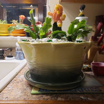 Extra Large Custom Planter, Custom Planter, Flower Pot Clay Planters ...