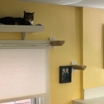 How to Safely and Securely Install Cat Shelf Beds and Posts - Etsy